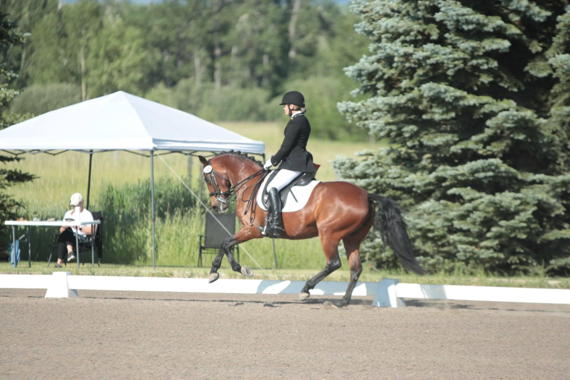 morgan evans equestrian